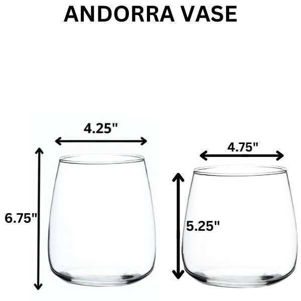 Canpol LTD. Clear-glass | CanPol Wholesale Glassware Shopping
